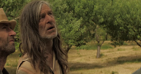 Cum Avibus dans Les Pouilles - Ulule