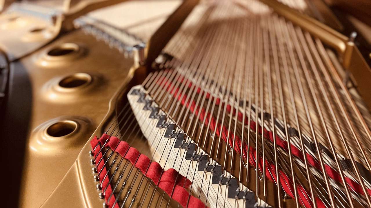 ALBUM CONCEPT EN PREPARATION