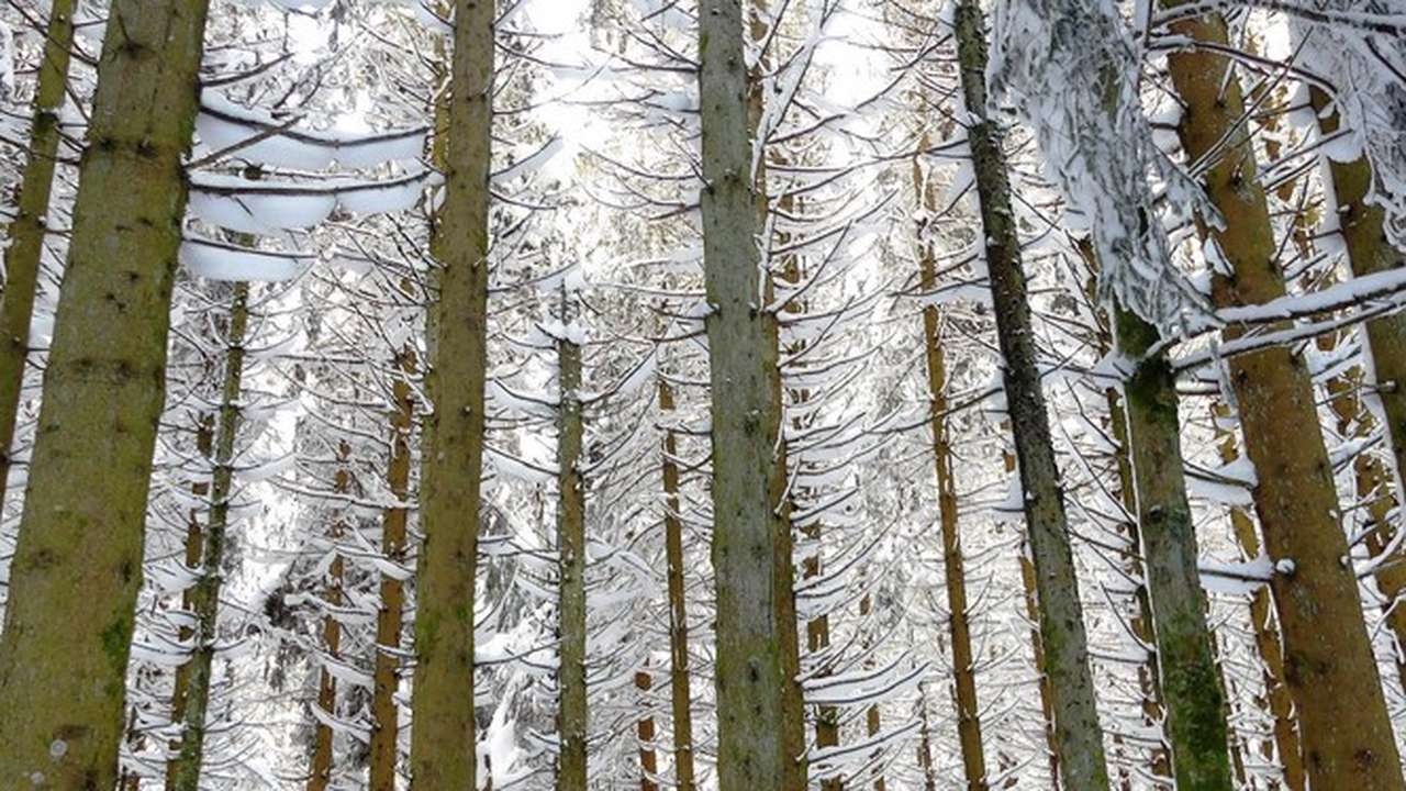 Recueil de poésies "Accords sauvages" - Ulule