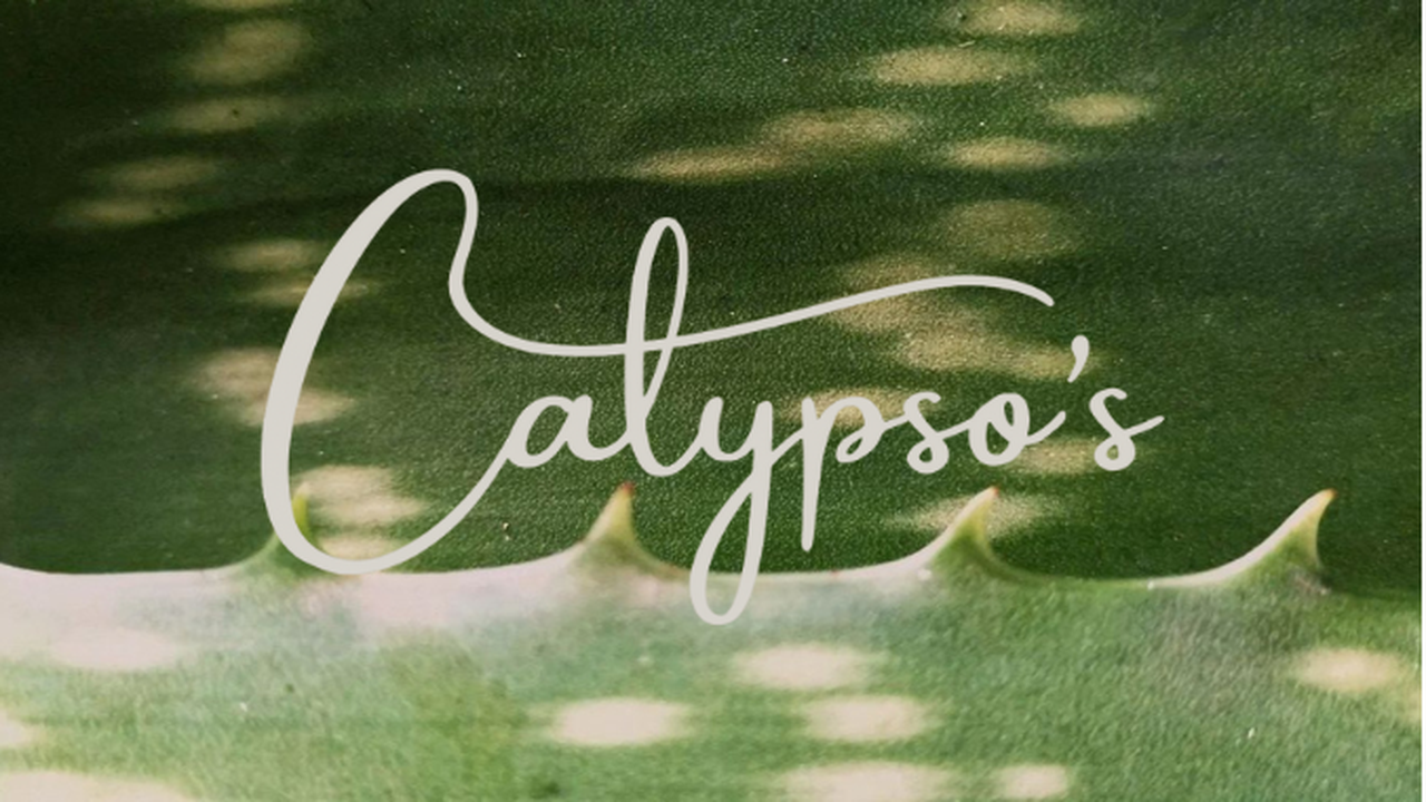 Aidez-moi à ouvrir Calypso’s lieu de création et de partage