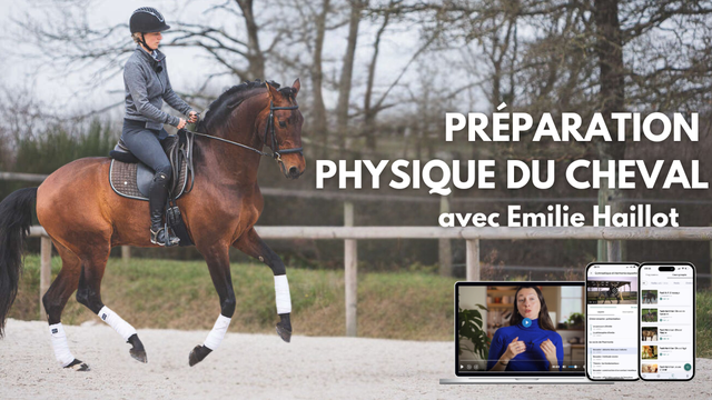 Repenser l'équitation avec Emilie Haillot - formation vidéo