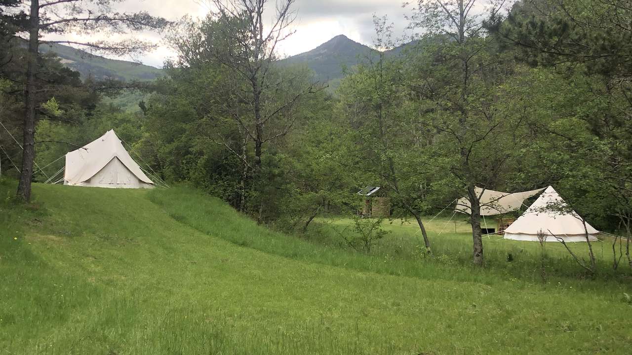 Un centre bien-être en forêt pour se reconnecter au Vivant