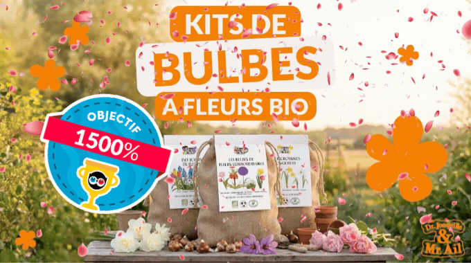 Prolongations 🤩 Kits thématiques de bulbes à fleurs BIO - Ulule