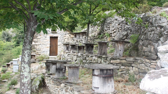 Redonner vie au Rucher de Sully Villard - Ulule