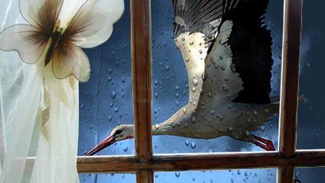 Jerome Saint-Martin - Ulule