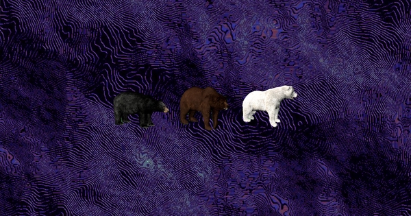 Vincent d'internet - Ulule