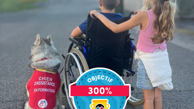 Sensibilisation au handicap à travers le chien d'assistance