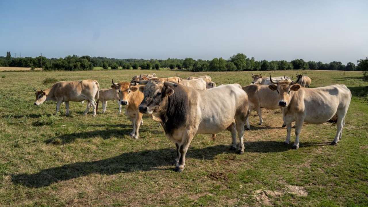 Une agriculture bio et paysanne - Ulule