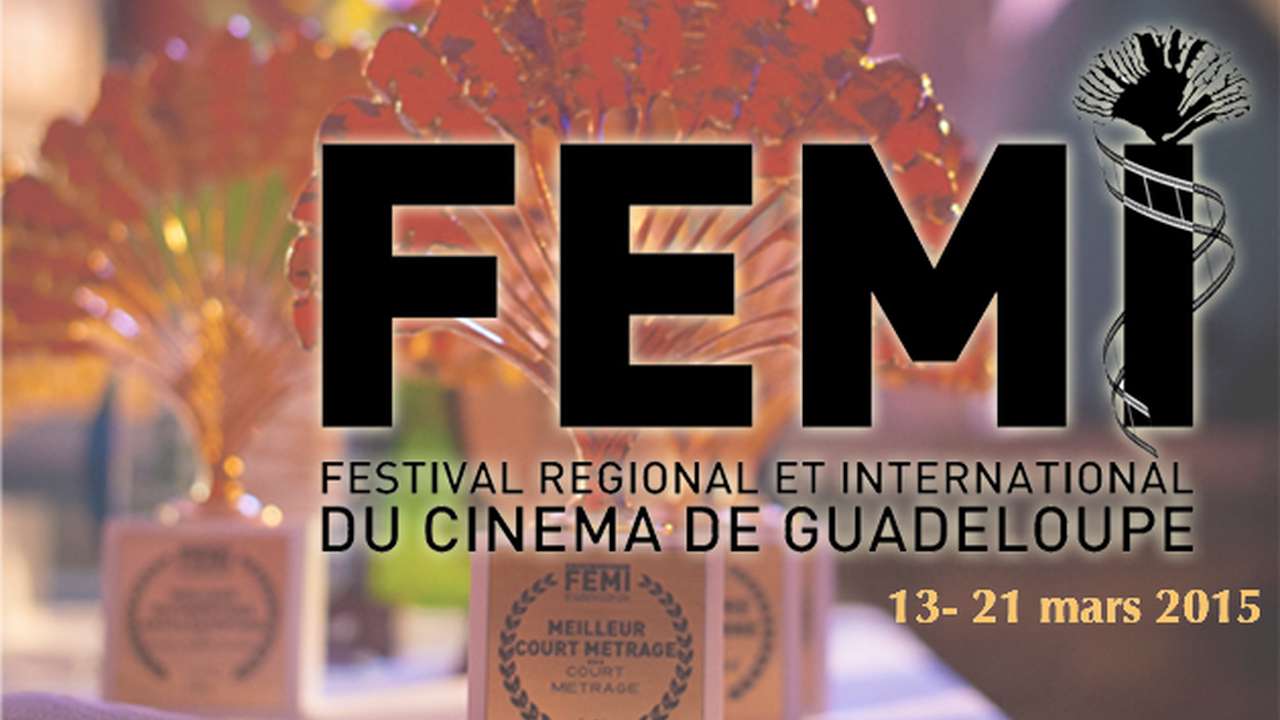 FESTIVAL FEMI