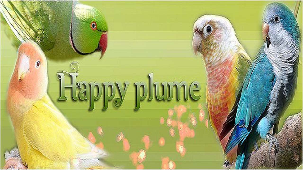 Happy'Plume - Ulule