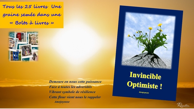 Invincible Optimiste