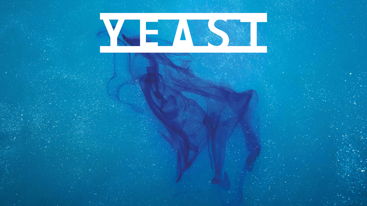 YEAST - 3ème EP