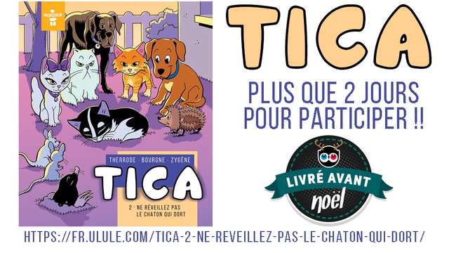 TICA : Ne réveillez pas le chaton qui dort - Ulule