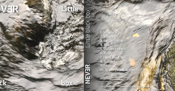Little black box, le premier et dernier album de Never