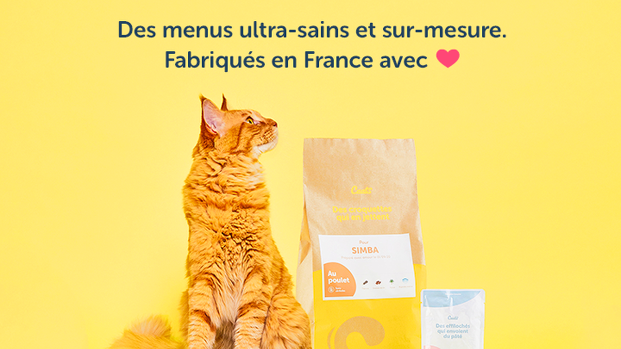 Caats... Chat lui va si bien ! - Ulule