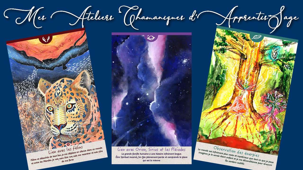 Mes Ateliers Chamaniques d'ApprentisSage - Ulule