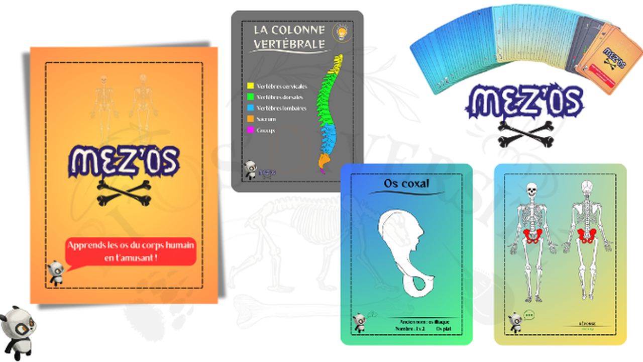 Jeu de cartes ludique pour apprendre les os du corps humain