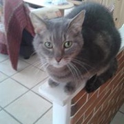 Tia Etoilée - Ulule