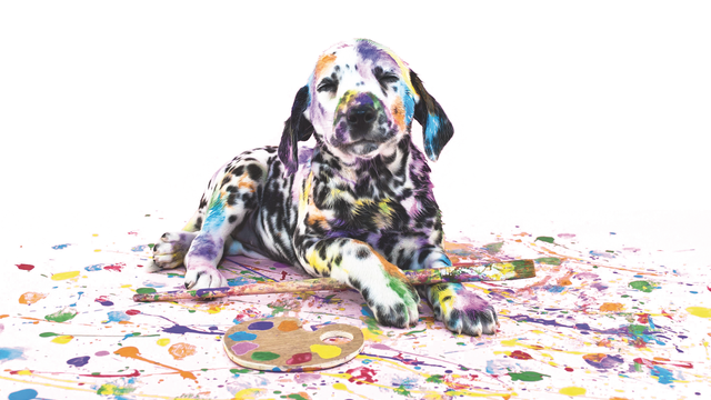 celine ferard - Ulule