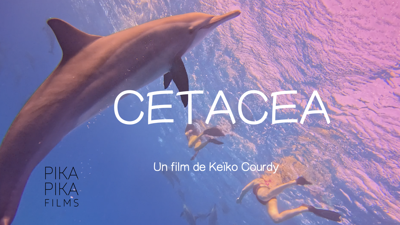 CETACEA - le film - Ulule