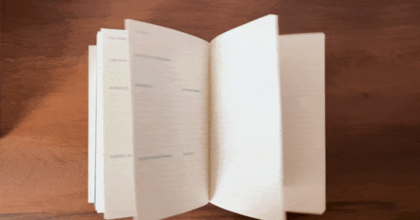 Le Carnet de la Curiosité