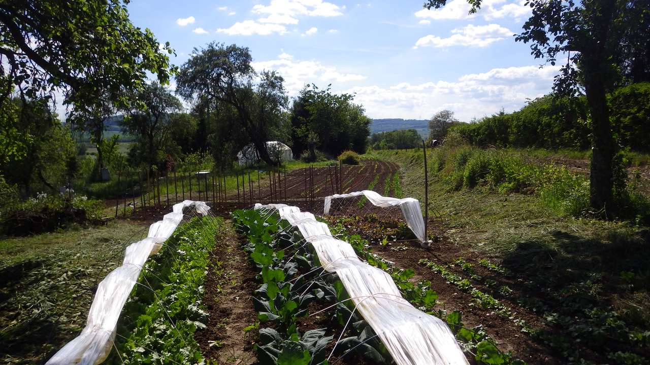 LE JARDIN AUX ABEILLES
