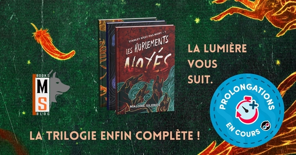 Les Nuits du Dehors - Ulule