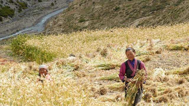 Traverser l'Himalaya népalais à cœur ouvert - Ulule