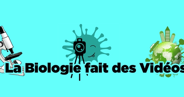 Michaël Ruff - Ulule