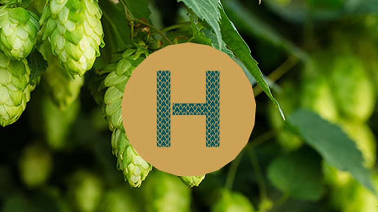 HOPEN - TERRE DE HOUBLON - Ulule