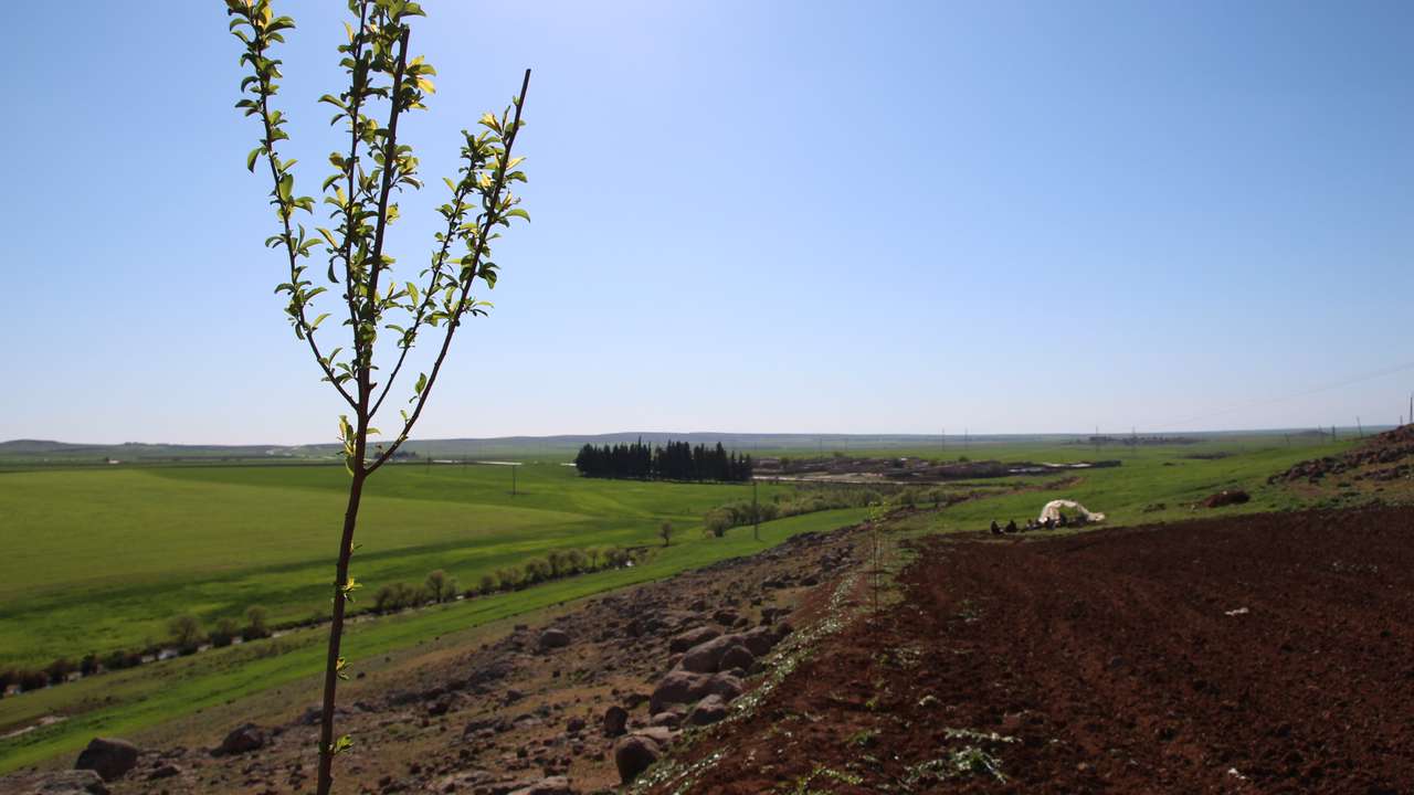 Make Rojava Green Again: livre - Ulule