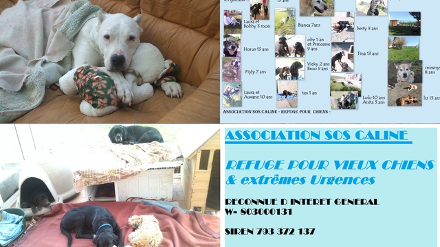 stephanie sagnol - Ulule