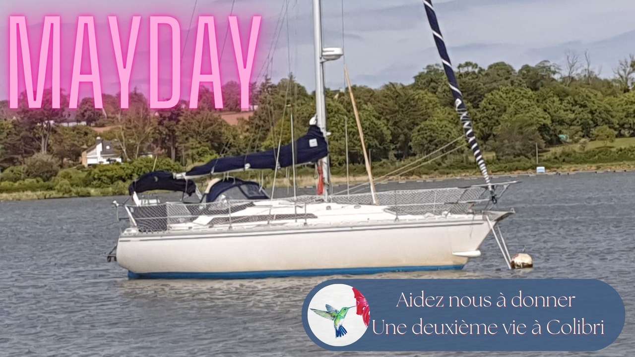 Une deuxième Vie pour Colibri