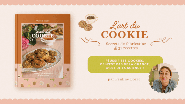 Le livre 100% cookies pour TOUT comprendre & 31 recettes