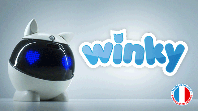 Winky: The little educational robot for children