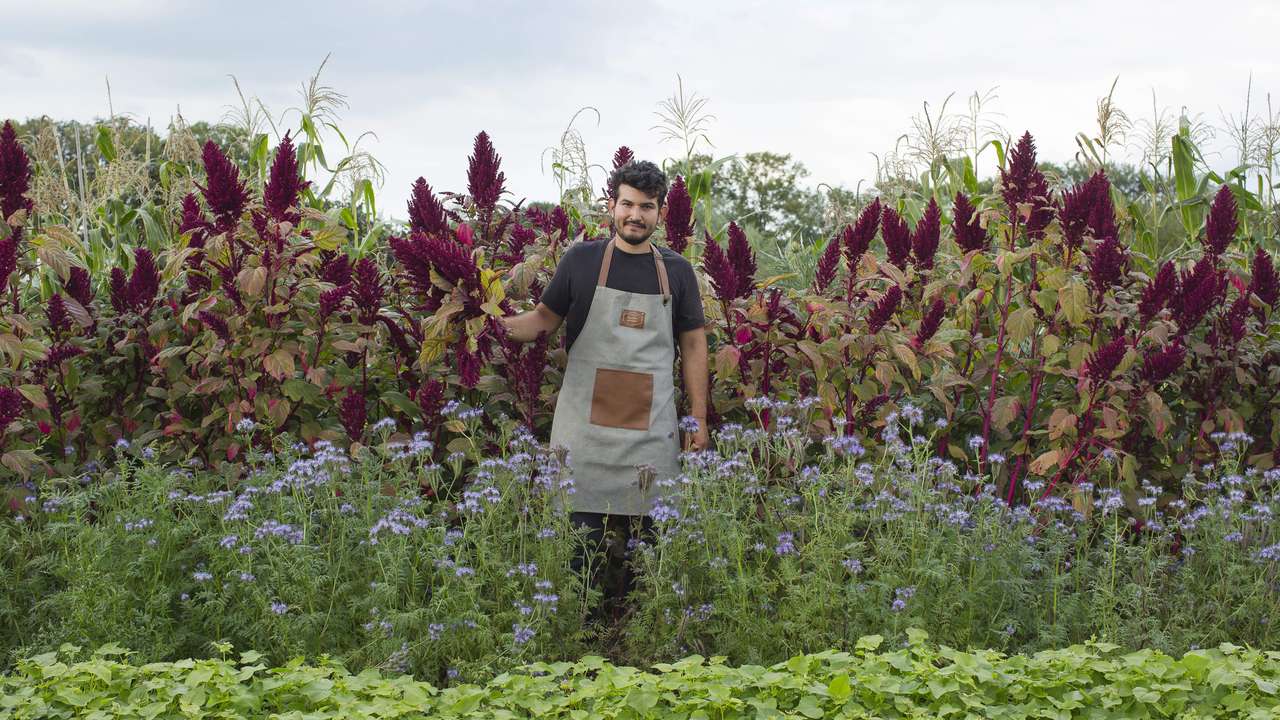 CLOSING THE CYCLE OF FOOD WASTE IN AMSTERDAM