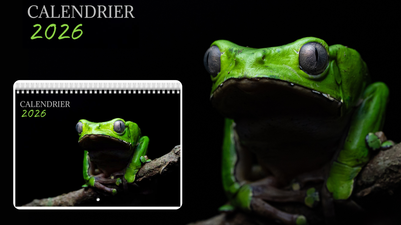 CALENDRIER 2026