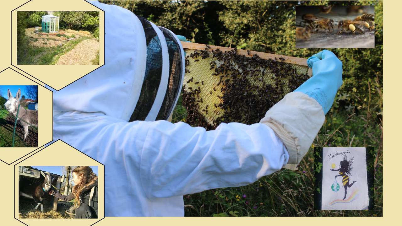 Les Abeilles de Mieleaugaïa