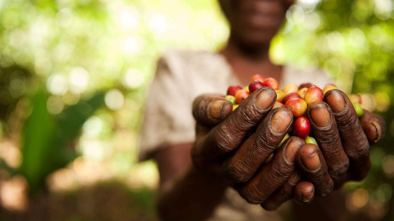Cultivons L'éthique a besoin de vous